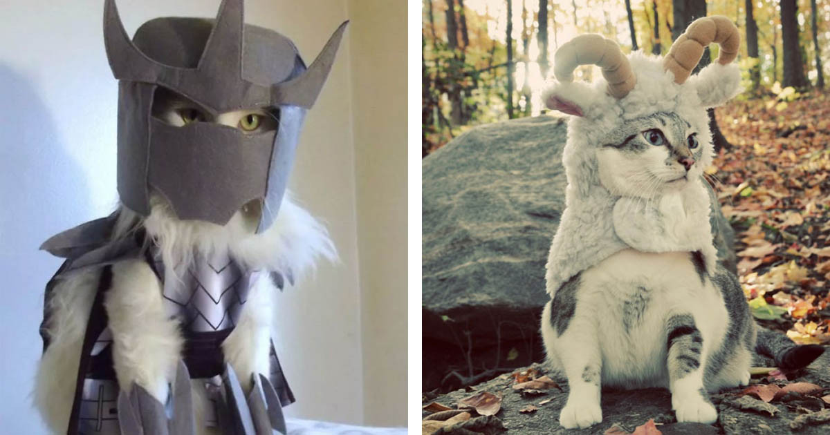 Cats In Halloween Costumes That Are Purrfectly Terrifying