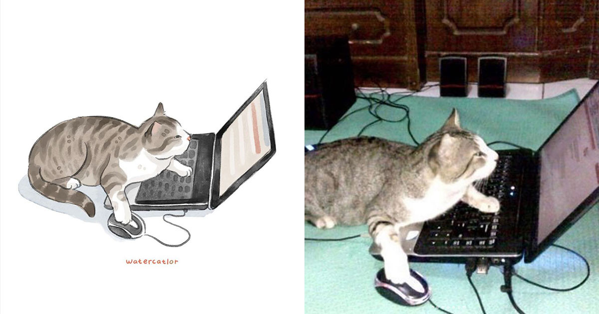 Iconic Cat Memes And Pictures Are Being Turned Into Stunning Watercolor ...