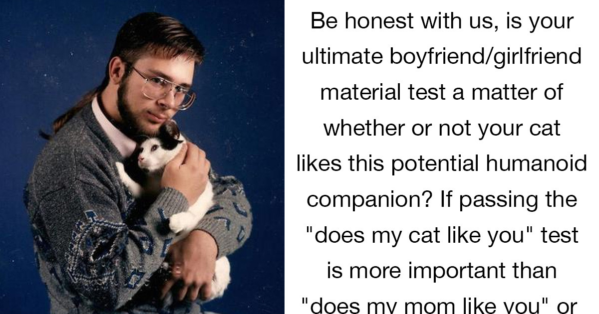 10+ Signs You're An Official Crazy Cat Person