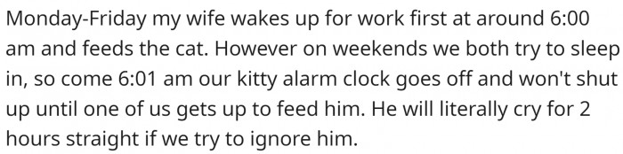 Man Threatens To Kick His Wife Out Of Bed If She Doesn t Get Up Early On Weekends To Feed The man-threatens-to-kick-his-wife-out-of-bed-if-she-doesn-t-get-up-early-on-weekends-to-feed-the