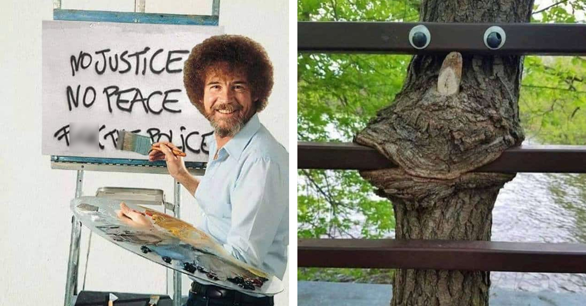 50 Wild and Wacky Pics That Will Make You Question Reality