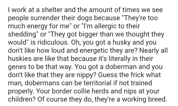 Redditor Vents Online While Advising People To Research Before Adopting