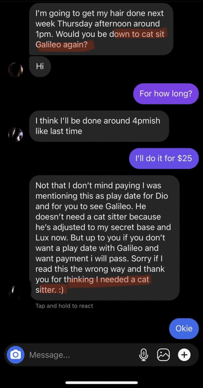When Catsitting Becomes Playdate - Choosing Beggar's Creative Tactic To ...