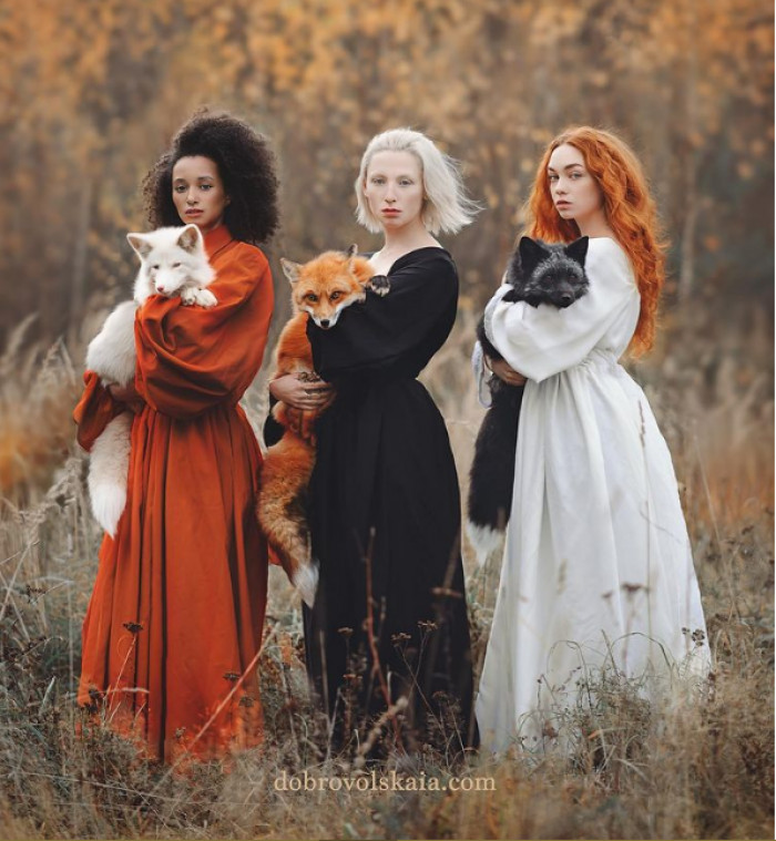 Stunning Portraits Featuring Three Foxes With Different Fur Colors ...