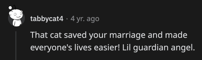 Adopting Cats Saves Husband And Wife From Dealing With His Overbearing ...